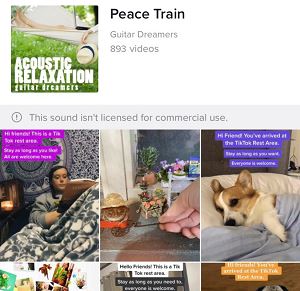 Tik Tok Changes Rules Regarding Business Music Licensing – Funky Moose ...