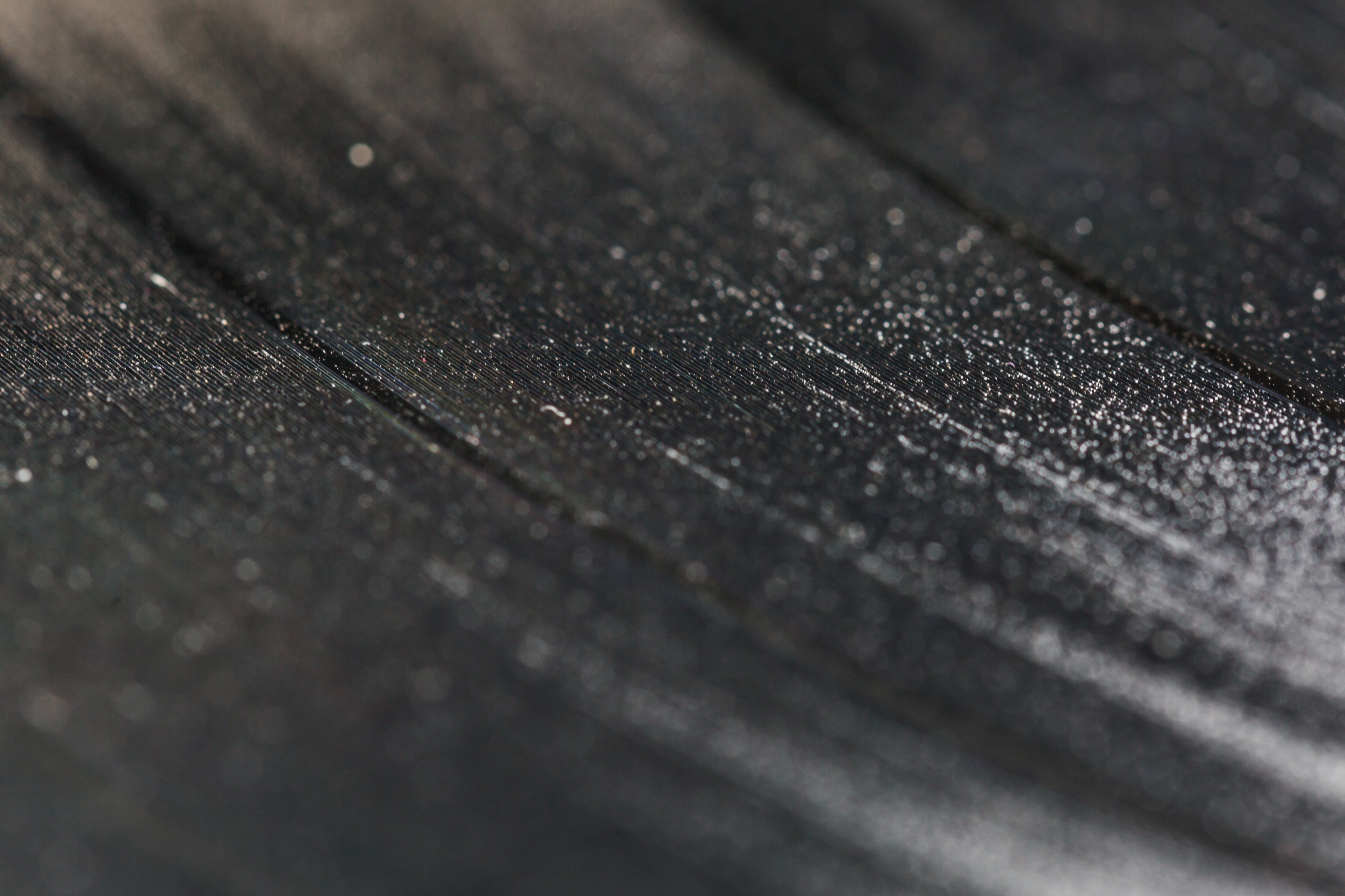 The Art of Vinyl Record Cleaning: Tips and Tricks for Beginners and En ...