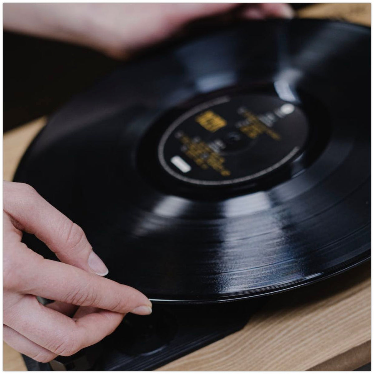 New Records – Funky Moose Records