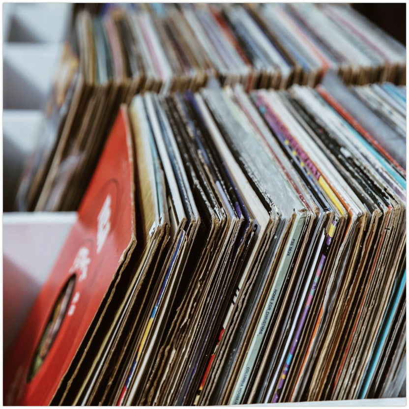 The Fundamental Guide to Vinyl Record Storage – Funky Moose Records